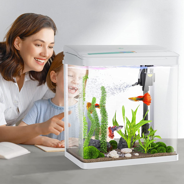 Betta Fish Tank, 2 Gallon Glass Aquarium, 3 in 1 Fish Tank with Filter ...