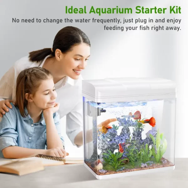 Fish Tank 3 Gallon Starter Kit › Pondon Aquaruim