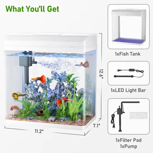 Fish Tank 3 Gallon Starter Kit › Pondon Aquaruim