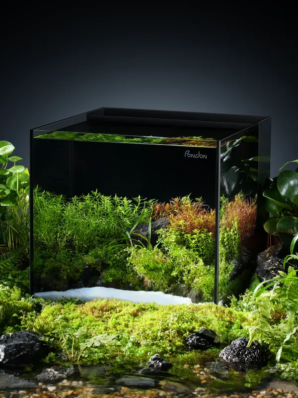 Back Filter Fish Tank Pondon Aquarium › Pondon Aquaruim